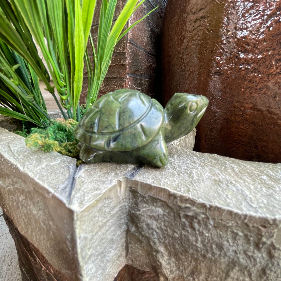 Green Jade Turtles